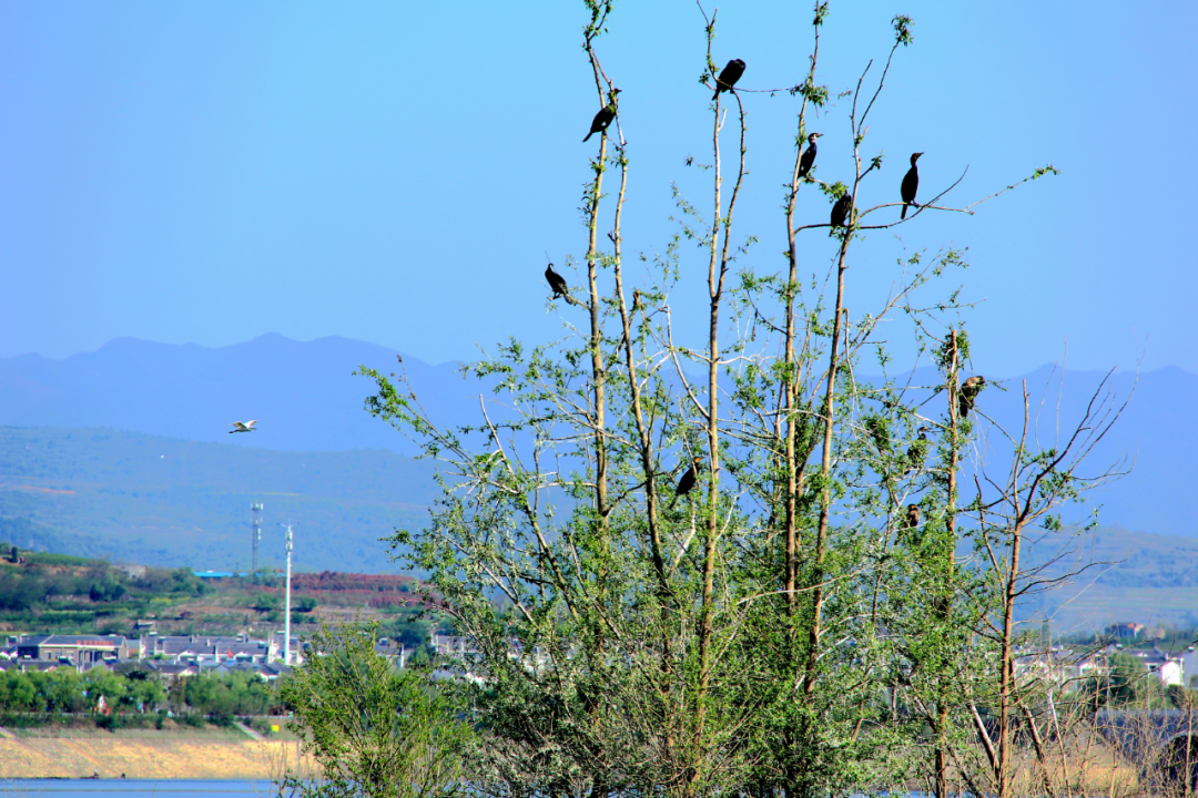 十堰市2025年度中小学教师职称评审结果公示
